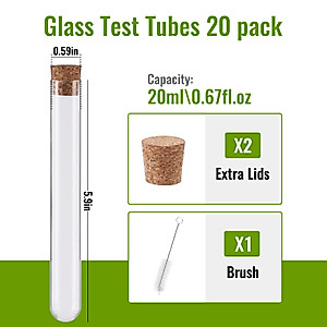 15x150mm Glass Test Tubes with Cork Stoppers 20 ml, 20 Pack Plant Propagation Tubes, Small Clear Test Tubes for Shots, Ants, Lab, Scientific Experiments