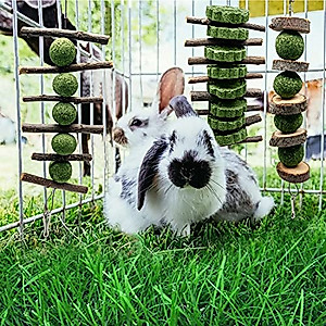 3 Pcs Bunny Teeth Grinding Chew Toys, Apple Branch Chewing Sticks with Grass Ball and Grass Cake for Rabbits Bunnies Hamsters Guinea Pigs