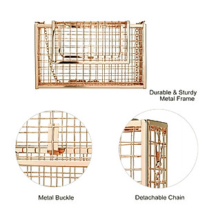 YYW Women Chain Crossbody Bags Iron Cage Metal Hollow Out Cage Evening Clutch (Gold)