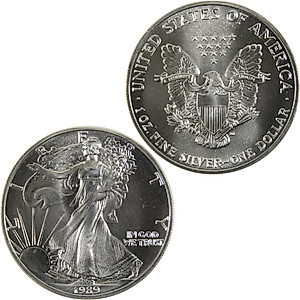 1989 American Silver Eagle BU Brilliant Uncirculated Bullion $1 Coin