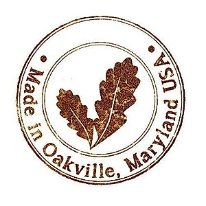 Personalized Pint Beer Glasses 2 x with Etched Vintage Text Logo Design, Set of 2