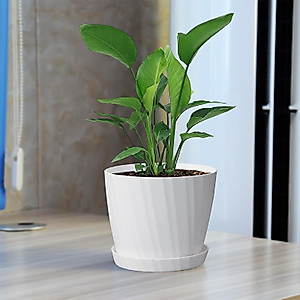 UOUZ 6'' Plant Pots Bulk, 6 Pack Plastic Planters with Drainage Holes and Saucers for Indoor Outdoor House Plants and Flowers, White