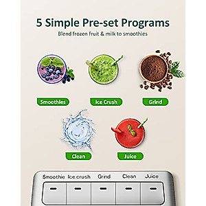 Wamife Professional Countertop Blender - Commercial Blender with Stepless Speed, Blenders for Kitchen with 5 Presets & 70 oz Tritan Container, High-Speed Smoothie Maker for Shakes and Smoothies