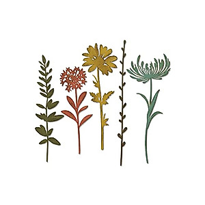Sizzix Thinlits Die Set , Wildflower Stems #1 by Tim Holtz, 5 Pack, One Size, Multicolor 5 Piece