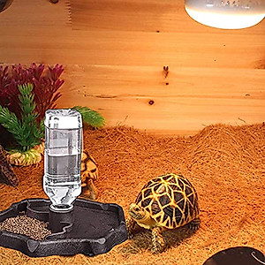 Tfwadmx Reptile Water Bottle, Turtle Food and Water Bowl Automatic Feeders Waterer Tortoise Dispenser Bottle Feeding Dish for Lizard Chameleon