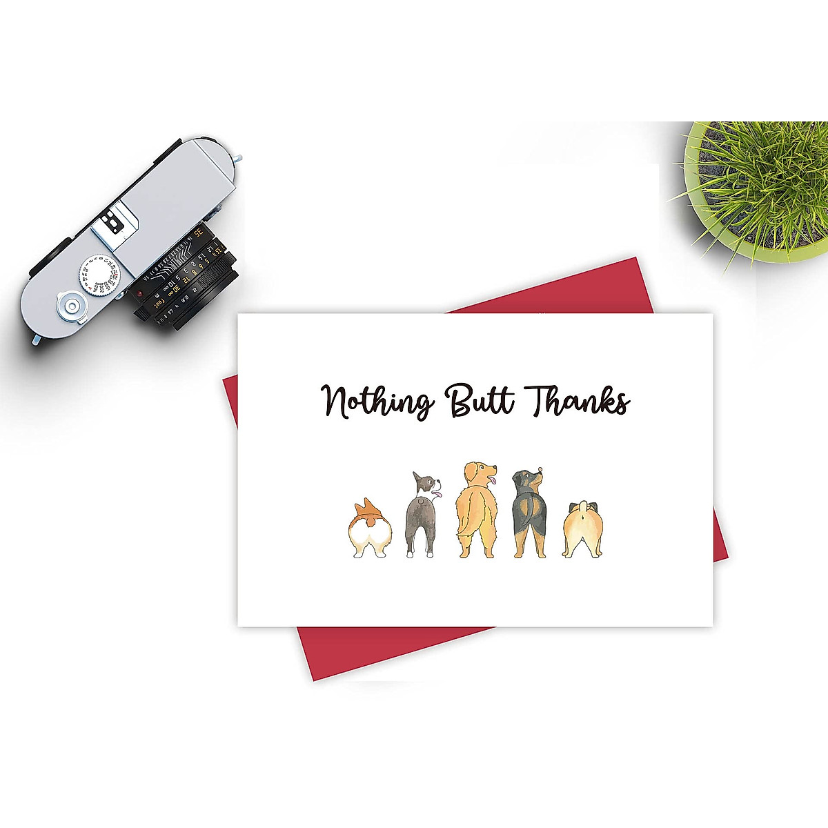 Kirynurd Nothing Butt Thanks, Cute Funny Thank You Card, Thanks Card for Anyone, Thanksgiving Day Card