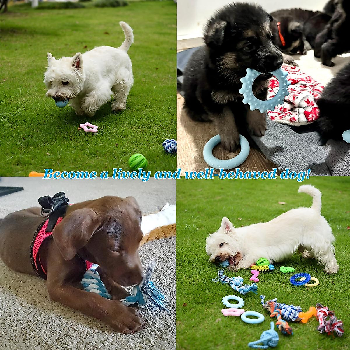 PawsAion 20 Pack Puppy Toys Set - Puppy Chew Toys for Teething, Interactive Dog Teething Toy for Small Breeds - Tough Rope Toys for Puppies, Cute Soft Rubber Toys Bundle for Teeting Pets