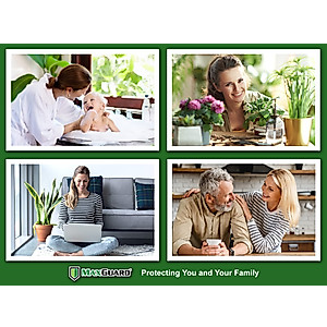 MaxGuard Extra Large Insect Traps (8 Traps) | Non-Toxic Extra Sticky Pre-Baited Glue Board, Trap & Kill Most Crawling Insects, Bugs, Spiders, Crickets, Scorpions, Cockroaches, Centipedes, Snakes.