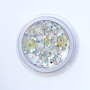 Bird B Gone - SpectrumV Holographic Bird Gel - Bird Repellent Gel - Repels Birds - Protect Edges, Ledges, Rooftops, Etc - UV Protected & Humane - Easy to Install Dishes - 12 Self-Adhering Dots