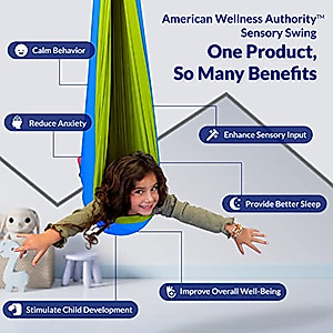 American Wellness Authority Sensory Swing for Kids Indoor, 360° Swivel, Reversible Sensory Swing for Adults, Double Layered Hammock Swing for Kids with Special Needs Great for ADHD/ADD (Green/Blue)