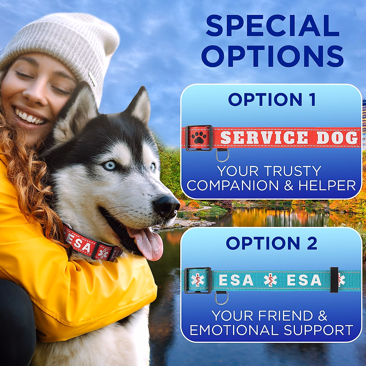 TECEUM Reflective Pet Collar – Purple – M – Extra Soft Padding – Basic Nylon Dog Collar – Quick Release Buckle – Fits Small, Medium and Large Dogs, Puppies, Cats – ESA & Service Dog Options