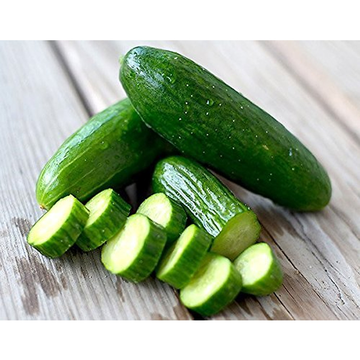 30+ Persian Beit Alpha (A.k.a. Lebanese) Cucumber Seeds Heirloom NON-GMO Crispy Fragrant From USA