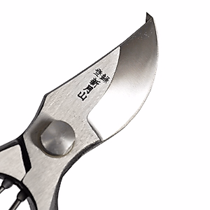 RANSHOU Japanese Pruning Shears for Gardening 8” Made in JAPAN, Professional Heavy Duty Bypass Pruners, Hand Forged Japanese Carbon Steel Blade, Spring Loaded Handle, Black