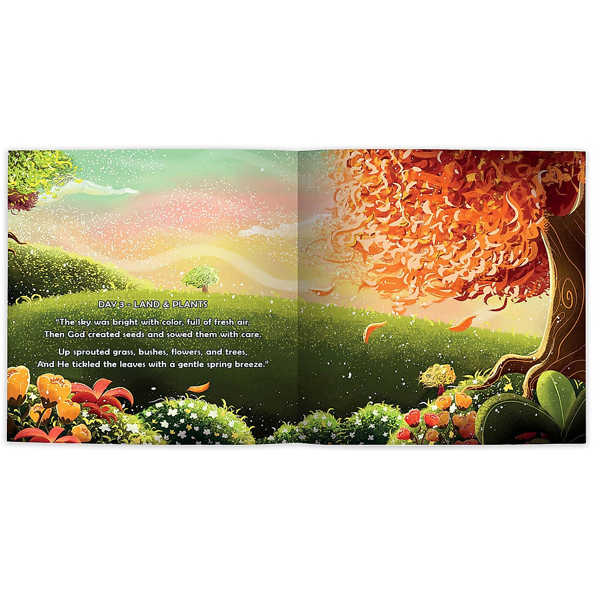 God's Gifts: Gratitude for His Creations - A Beautiful Christian Book for Kids Ages 1-6 About How God Gave Us the World In Seven Days - Discover God’s Awesome Creations In This Stunning Picture Book
