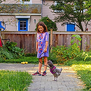 4 Pcs Adjustable Chicken Harness with Leash- 4 Styles Comfortable Hen Vest Breathable Mesh Chicken Training Harness and Leash for 2.5-3.6 Lb Duck Goose Hen Small Pets