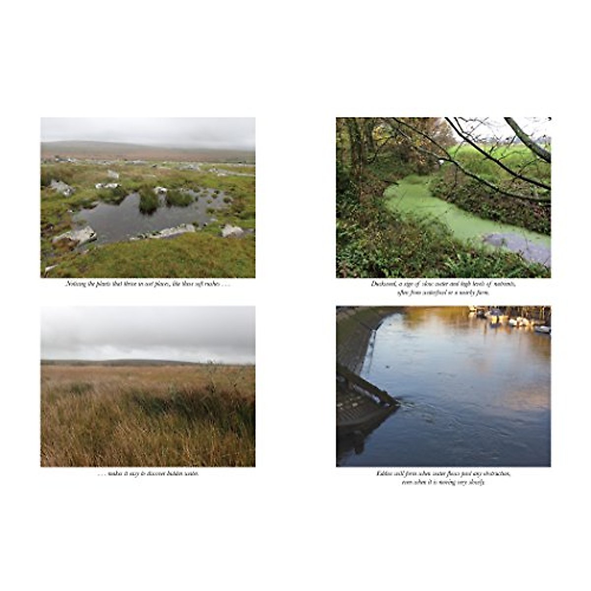 How to Read Water: Clues and Patterns from Puddles to the Sea (Natural Navigation)