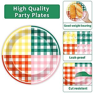 Lonfliness 96 Pcs Camp Gingham Paper Plates and Napkins Gingham Checkered Bachelorette Party Supplies Gingham Birthday Tableware Set Plaid Camping Themed Summer Party Favors Baby Bridal Shower Decor