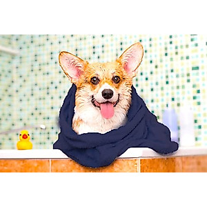 IEDASING'S CHOICE Dog Towel Pet Towel 2 Pack Super Absorbent Quick Drying Microfiber Towel Soft Suitable for Dog Bath Puppy Pet Grooming and Multi-Use, Microfiber Material, 16"x31" Grey