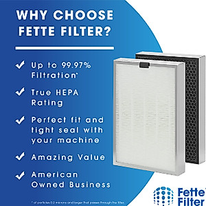 Fette Filter - True Hepa H13 Replacement Filter Compatiable with Medify MA-125 Air Purifier MA-125R, with 3 in 1 High-Efficiency Filter Compare to Part # 125-R (2QTY)