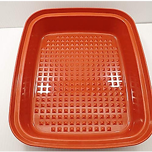 Vintage Tupperware Season Serve Marinade Keeper Container ~ Paprika