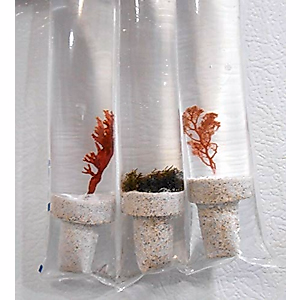 Live Saltwater Gracilaria Pom Pom Red Macro Algae 1 Inch Frag Refugium Copepods Amphipods