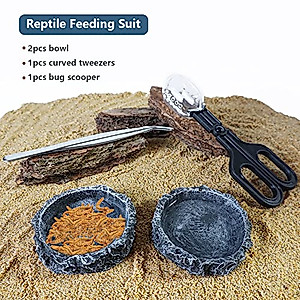 GKPONSX 2 Pack Reptile Food Bowls, Imitating Rock Design Water Dish and Feeder Food Bowls with Tongs Bug Scooper for Leopard Gecko Snake Lizard Turtle Chameleon
