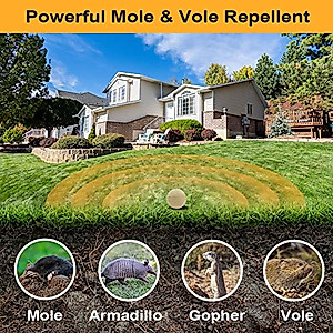 Pufado Mole Repellent, Vole Repellent Outdoor, Gopher Repellent, Mole Repellant for Lawn, Mole Deterrent for Yard, Mole Control, Keep Mole and Vole Out of Your Garden, Safe Around Pet & Plant -4 Packs
