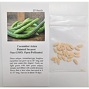 David's Garden Seeds Cucumber Asian Painted Serpent FBA-8422 (Green) 25 Non-GMO, Heirloom Seeds