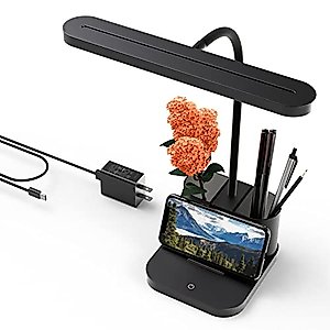 AXX Desk Lamp for College Dorm Room, School Study Supplies for Teens Kids, Office Desk Lights with Organizer/Storage, Desktop Lamp for Bedroom, LED, Small, Black, Pen Holder, Gooseneck