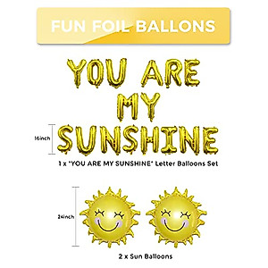 Sunshine Party Decorations Yellow Birthday Decorations Sun Party Decorations Sunshine Birthday Decorations You Are My Sunshine Party Decorations Banner Sunshine Baby Shower Decorations Sun Balloon