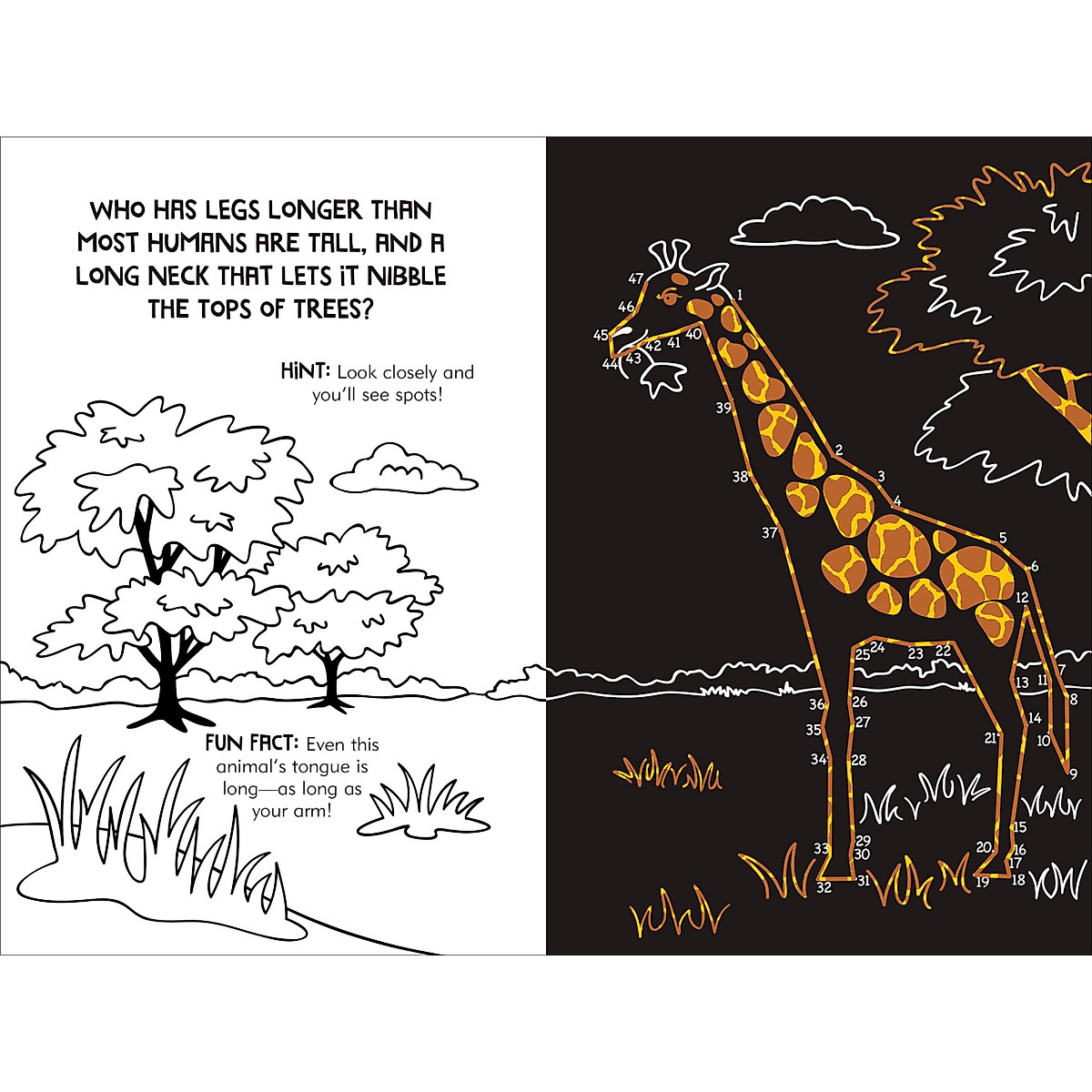 Dot-to-Dot Animals Scratch & Sketch (Trace-Along)
