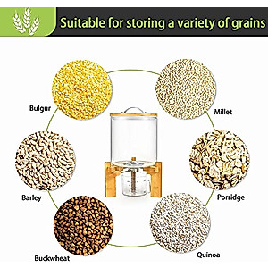 Glass Rice Dispenser with Wooden Stand, Flour and Sugar Container Dispenser with Glass Measuring Cup for Pantry Organization and Storage with Airtight Bamboo Lid for Rice, Beans,and Ground Coffee (5L)