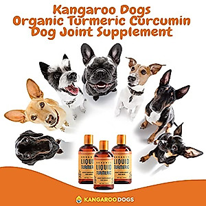 Kangaroo Dogs Organic Turmeric Curcumin Dog Joint Supplement - Liquid for Faster and Better Absorption Natural Dog Joint Supplement Liquid (8 oz)