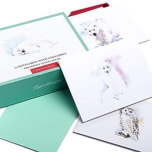 L'apostrophe Polar Bear, Seal, Fox, Snowy Owl Note Cards - Blank Inside with Envelopes - Greeting Notecards - Watercolor Set of Winter Animals  - Thank You Notes