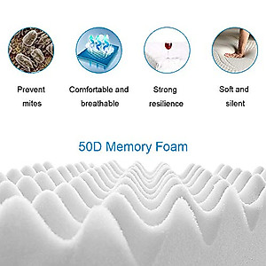 MAXDIVANI WOTU Folding Bed Couch 8" Fold Out Couch Sofa Bed Memory Foam Mattress Comfortable Sofa, Floor Couch Sleeper Sofa Foam Queen, Dark Blue