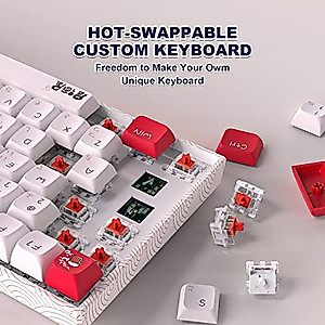COSTOM XVX M84 Hot Swappable Wireless Mechanical Keyboard, 75% Layout TKL Gaming Keyboard, N-Key Rollover RGB Backlit Custom Keyboard for Windows Mac PC Gamers(Izakaya Theme, Gateron Red Switch)