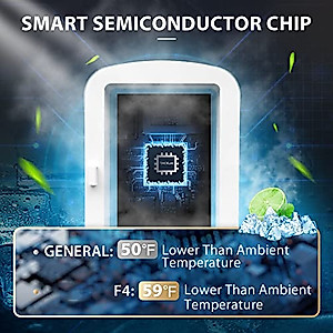 Mini Fridge 4 Liter AC/DC Energy Saving Cooler And Warmer Refrigerator, Portable Personal Fridge For Office, Car, Bedroom, 100% Freon-Free Great For Skincare, Fruit, Food, Medicine(Black) - F