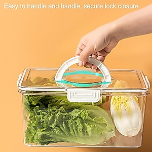 Quincry Fridge Organizer with Lids，Stackable Refrigerator Organizer Bins, Removable Containers for Food and Storage，For Fruit,Refrigerator Tissue,Vegetables,Food And Beverages (4 Compartments-White)