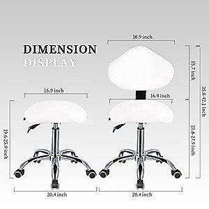 Height Adjustable Saddle Stool with Back Support, Ergonomic Hydraulic Swivel Rolling Chair with Removable Backrest for Beauty Salon Massage Dental Clinic Office, White