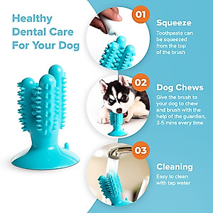 Double Suction Cup Dog Toys Set For Aggressive Chewers 100% Rubber (3 In 1), Teeth Cleaning Toothbrush Toy Stops Plaque & Tarter, Cherry Blossom Waste Bag Dispenser Bonus, Tug Of War Toy For Dog's IQ