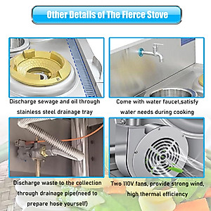 INTSUPERMAI Commercial Gas Stove Burner Double Burner Stove Double-Head Hot Stove Fierce Fire Stove Stainless Steel Chinese Wok Range Gas LPG 2 Wok Burner for Fast Food Equipment