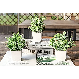 Der Rose 6 Packs Small Fake Plants Artificial Plants in Pots for Home Bathroom Bedroom Living Room Decor Indoor