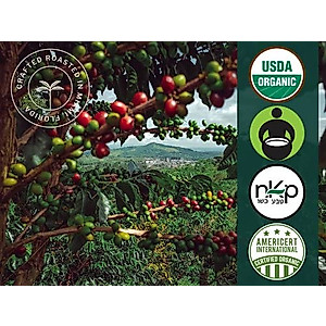 Artizan Coffee USDA Organic Espresso Coffee Capsules For Nespresso Original | Flavors Variety | 40 Compatible Compostable Pods