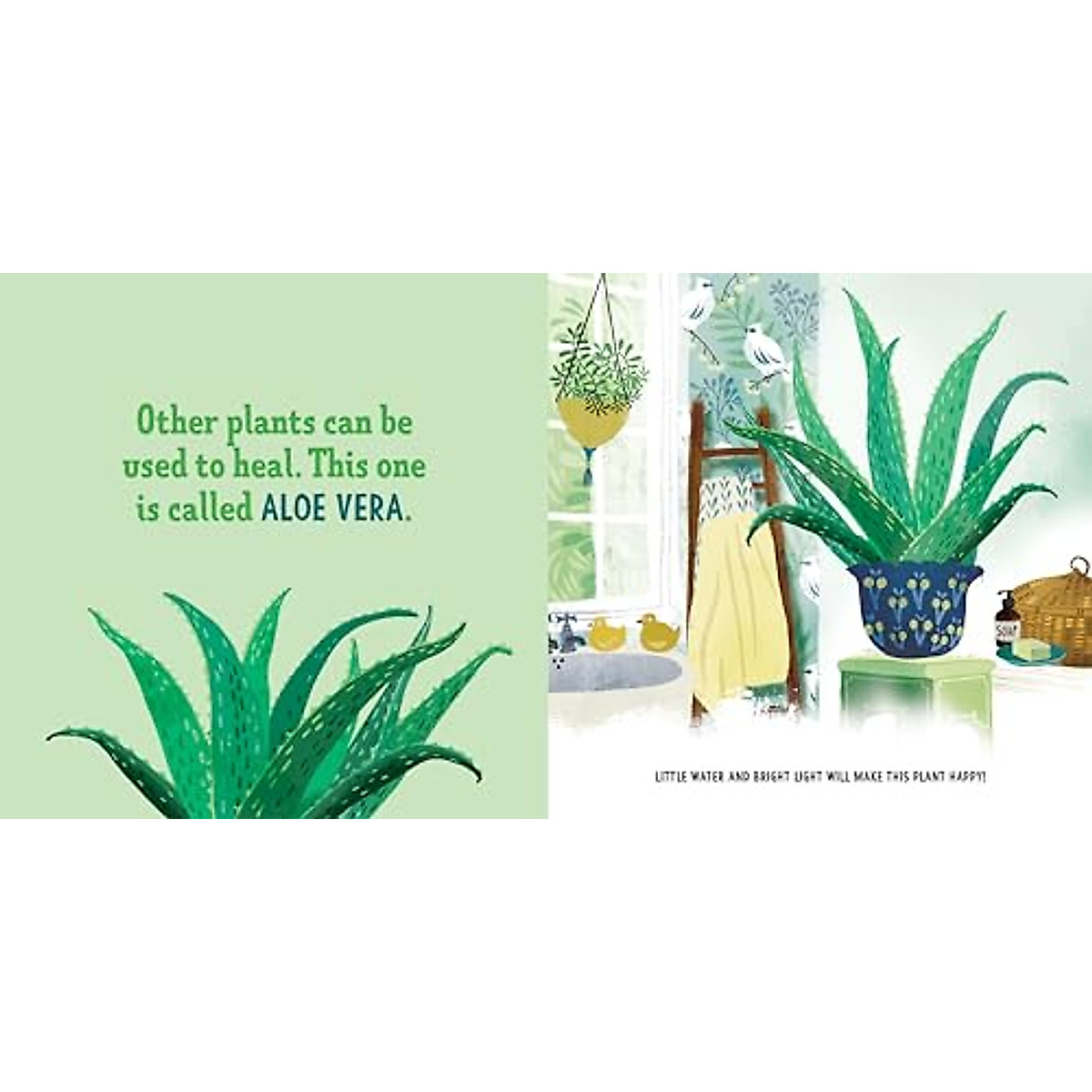 My First Book of Houseplants: Helping Babies and Toddlers Connect to the Natural World from the Intimacy of Home. Promotes a Love for Plants and the Environment. (Terra Babies at Home)