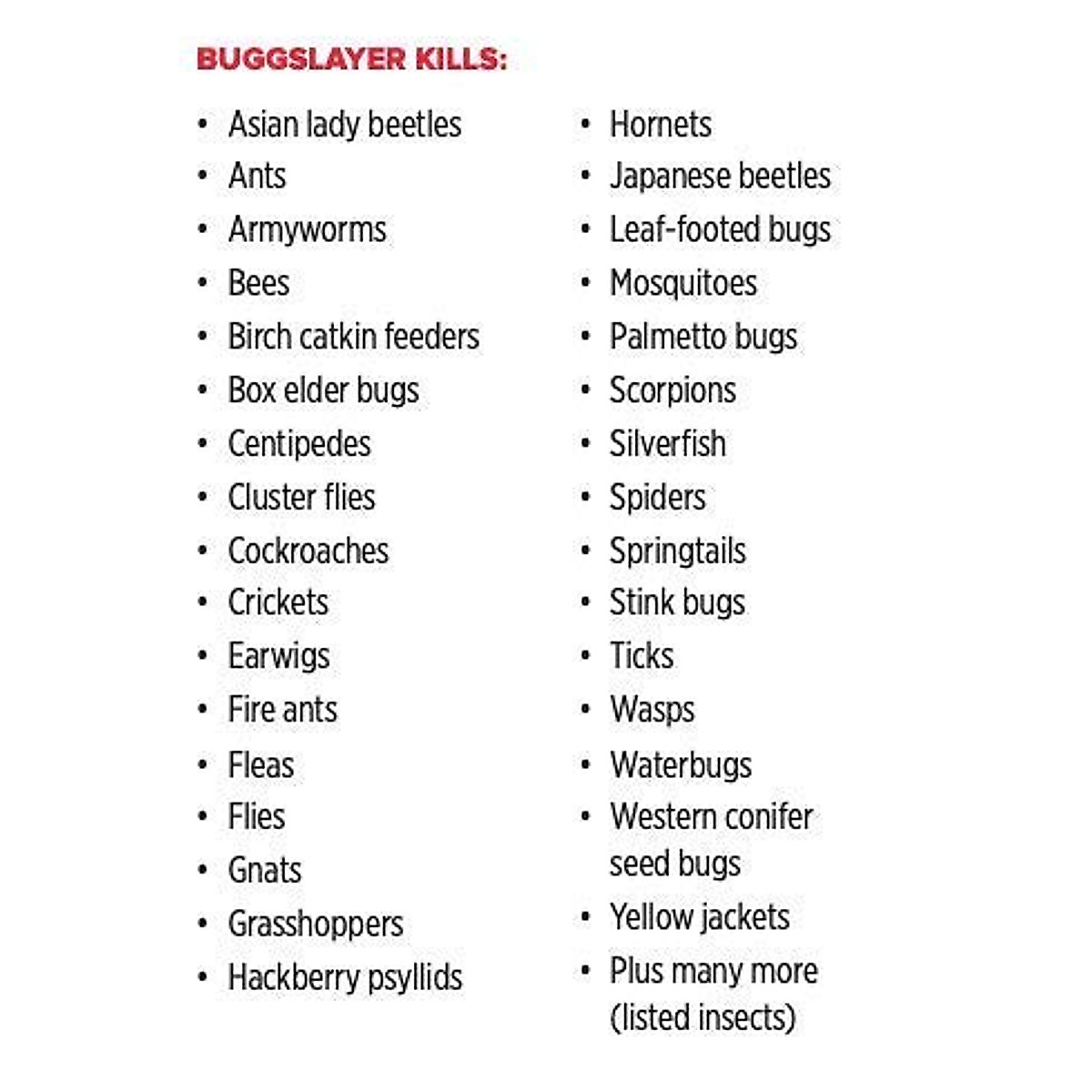 BUGGSLAYER Insecticide Ready-to-use Indoor 32-oz