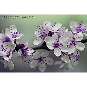 10x High Definition 2 Element Close-Up (Macro) Lens for Nikon, Canon, Sony, Panasonic, Fujifilm, Pentax & Olympus DSLR's (40.5mm)