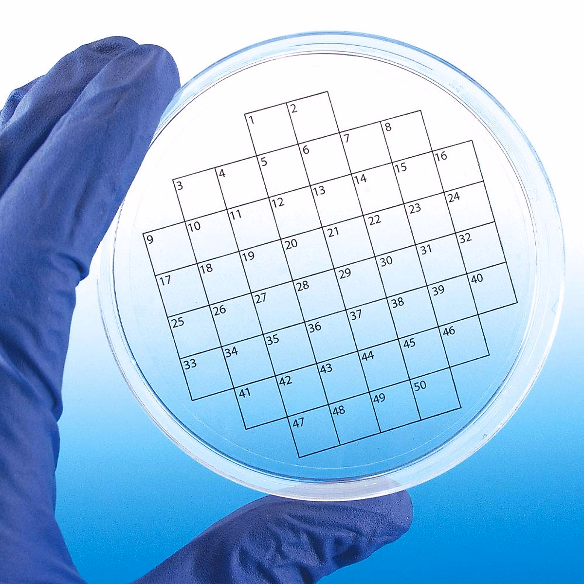Diversified Biotech PetriStickers PSTK-1050 Square Grid Label for Petri Dish, 50 Square Grid (Pack of 36)
