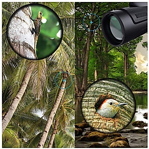 12x50 High Power BAK4 Prism FMC Lens Monocular Compact Portable Life Waterproof Monocular with Smartphone Adapter and Tripod for Adult Bird Watching, Outdoor