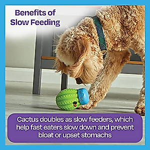 Brightkins Cactus Surprise Treat Dispenser - Treat Dog Toys, Treat Dispenser for Dogs, Dog Birthday Toy for All Breeds Medium