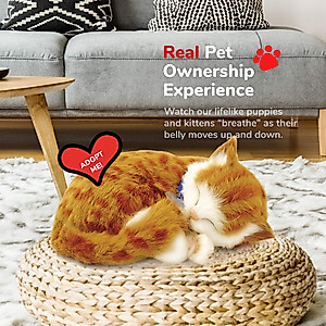 Perfect Petzzz - Original Petzzz Orange Tabby Cat, Realistic Lifelike Stuffed Interactive Pet Toy, Companion Pet with 100% Handcrafted Synthetic Fur